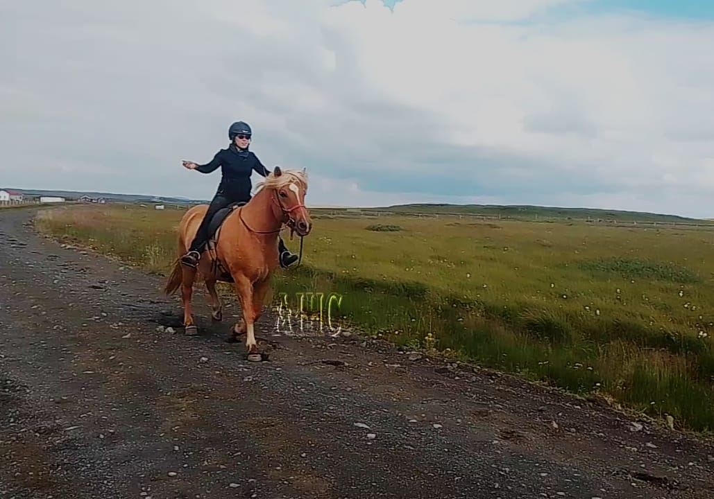 AHHC | Conscious Riding: Respect and Horse Well-Being