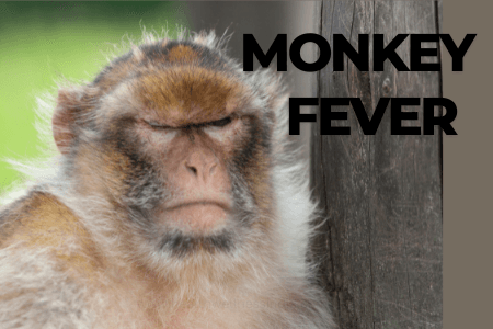 Monkey Fever: Symptoms, Treatment, Prevention