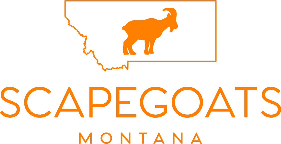 Scapegoats Montana-Home