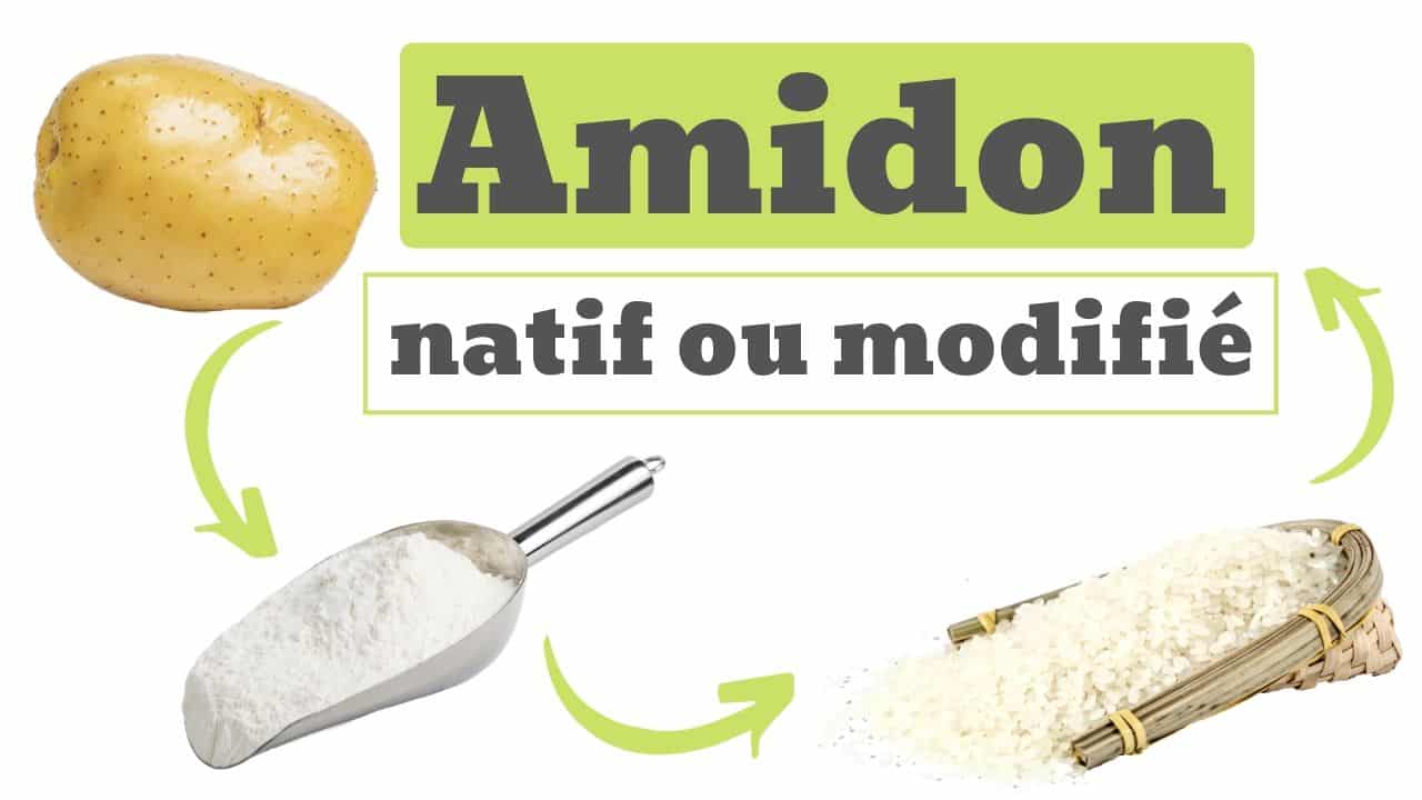 Amidon natif et amidon modifié - Quel est la différence