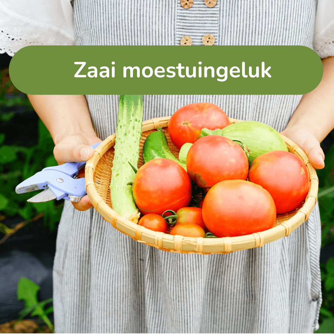 Cursus zaai moestuingeluk