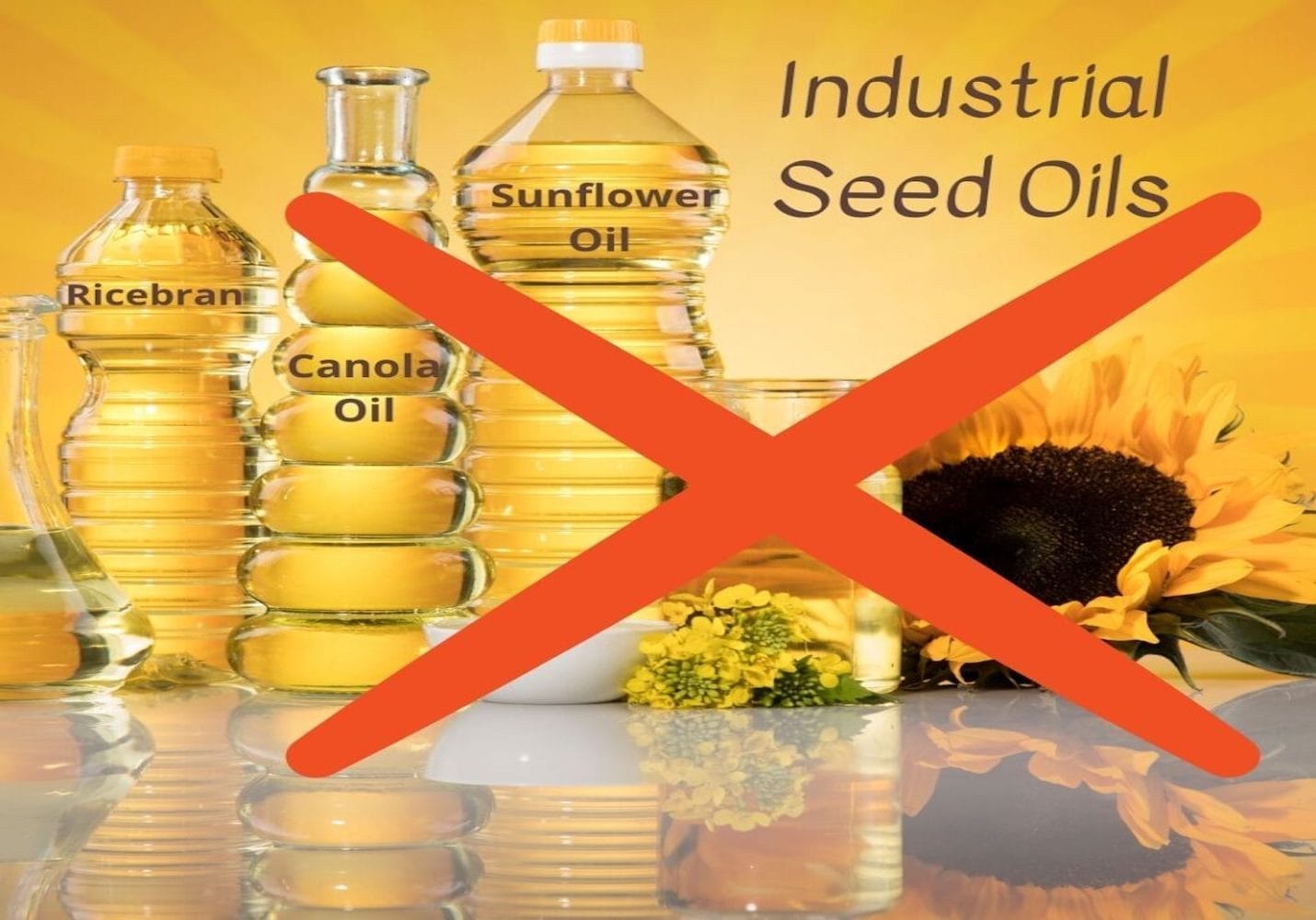 Should You Eliminate Seed Oils? Here’s the Real Talk on Whether They’re ...