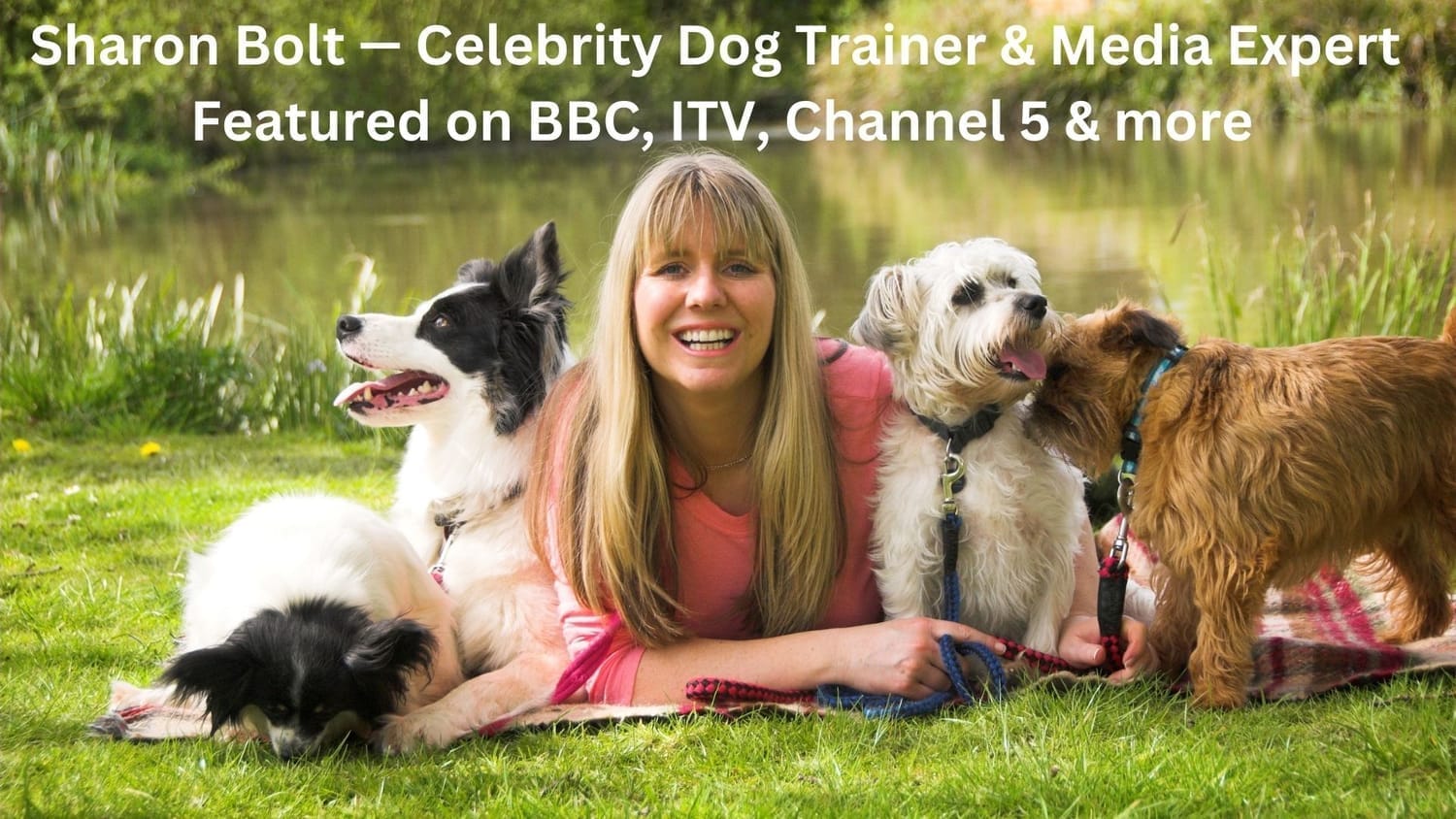 About Sharon Bolt | Celebrity Dog Trainer & Media Expert
