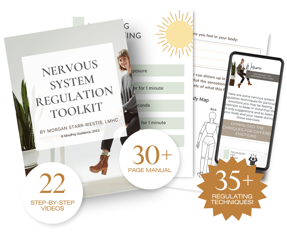 Nervous System Regulation Toolkit