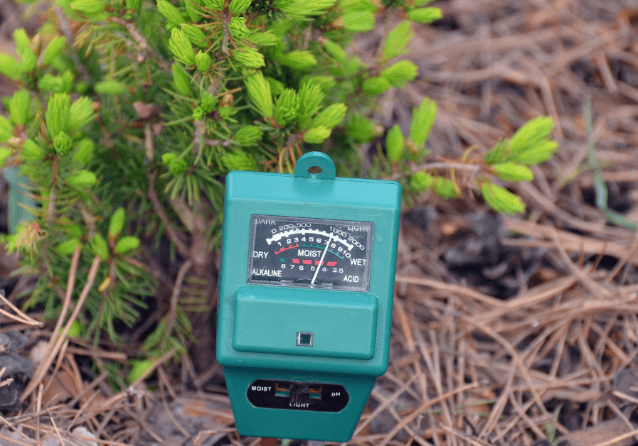 The Best Soil Thermometers to Test Your Garden and Boost Planting Success