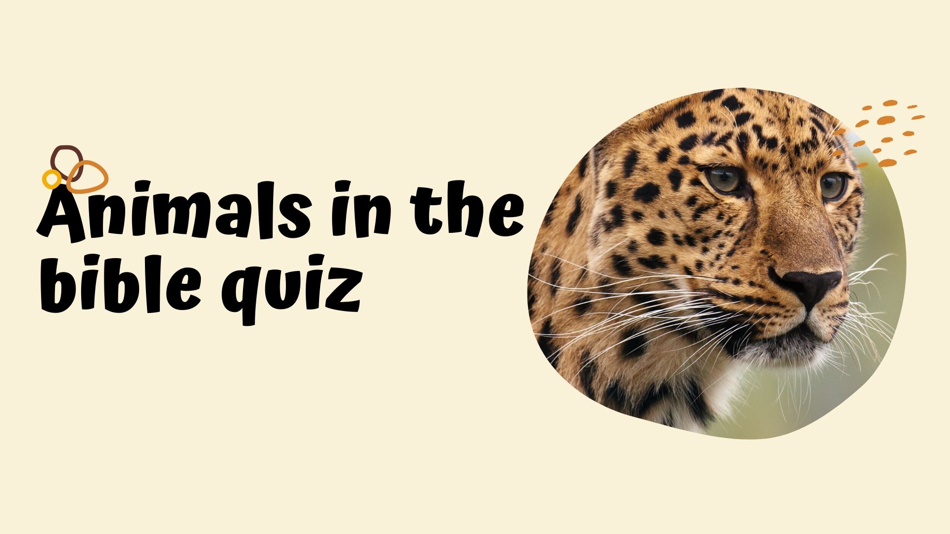 Animals in the bible quiz