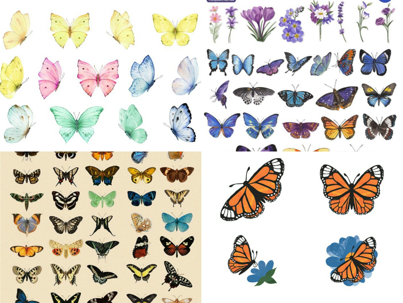 Stunning Butterfly Clipart to Enhance Your Designs (Free & Paid Options)