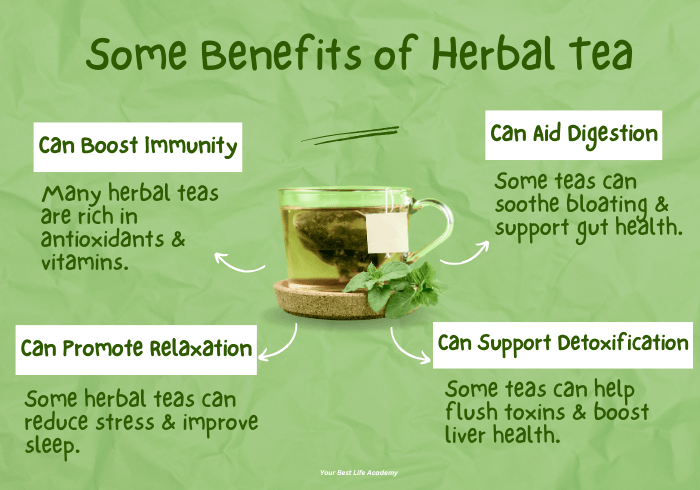 The Easiest Herbal Teas to Love (Even as a Beginner)