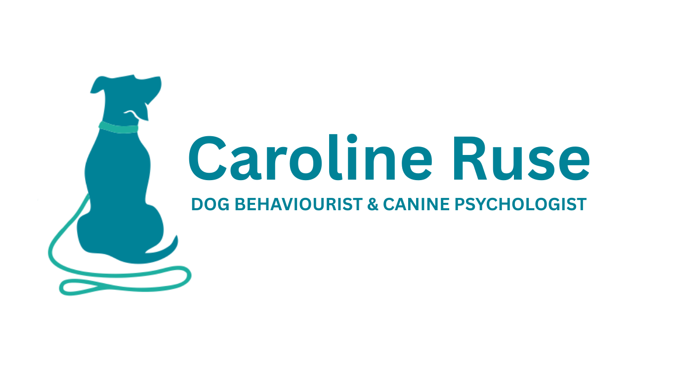 Dog Behaviourist South Hams Devon | Caroline Ruse