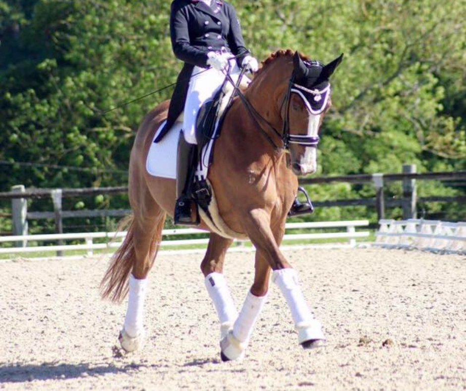 Avoir un cheval souple, léger et disponible