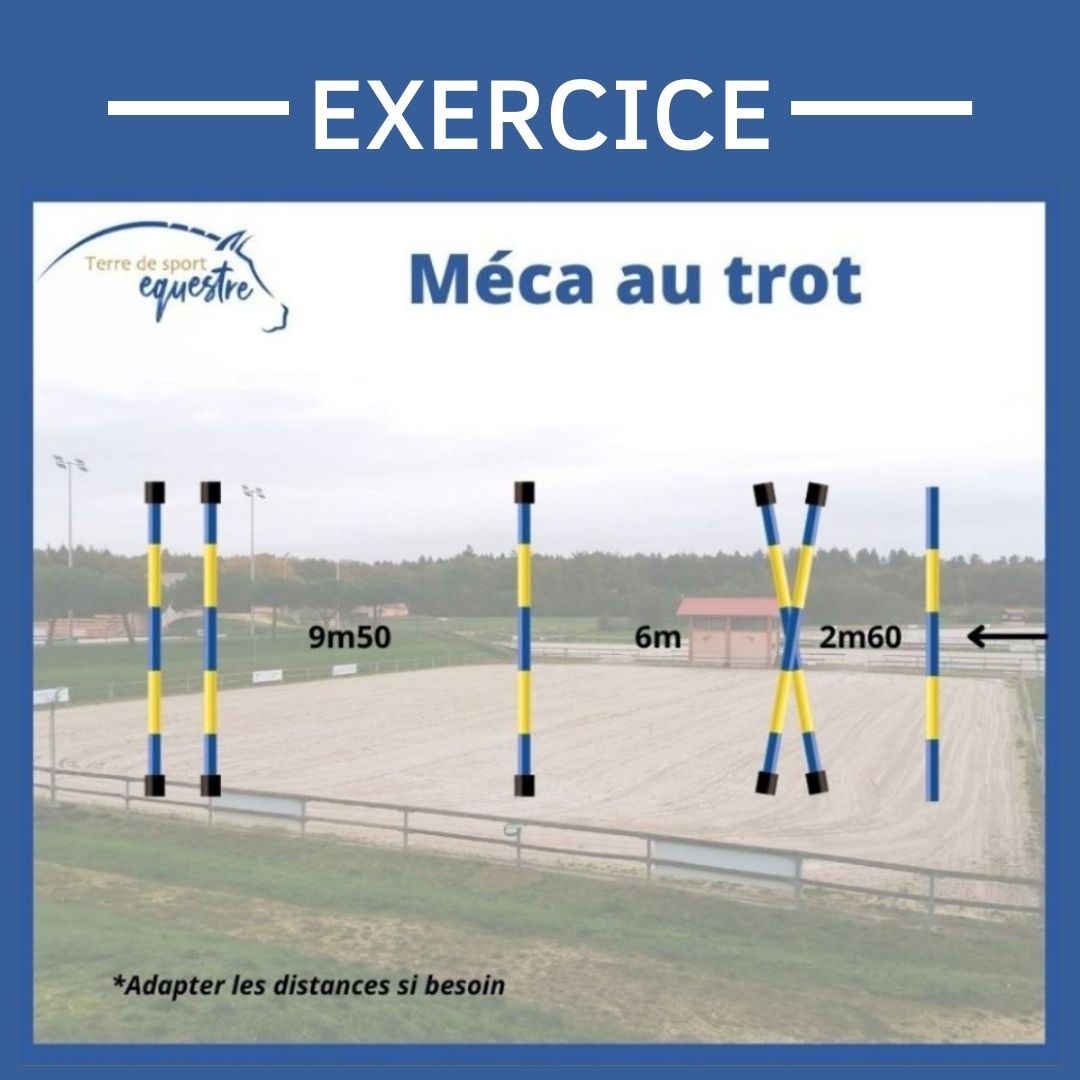 L'exercice de la semaine