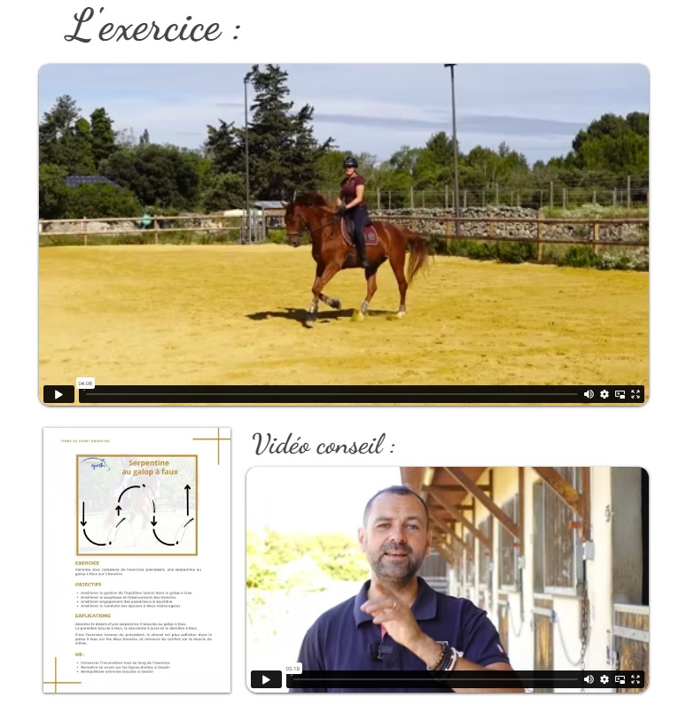 15 exercices au contre galop