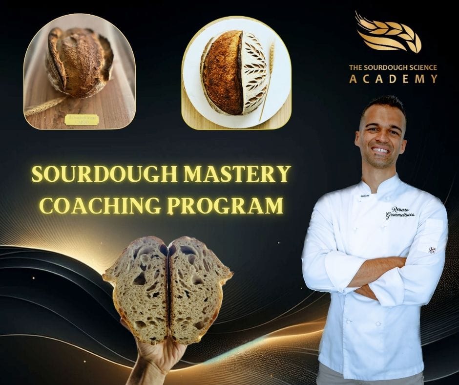 Sourdough Artisan Mastery Coaching Program
