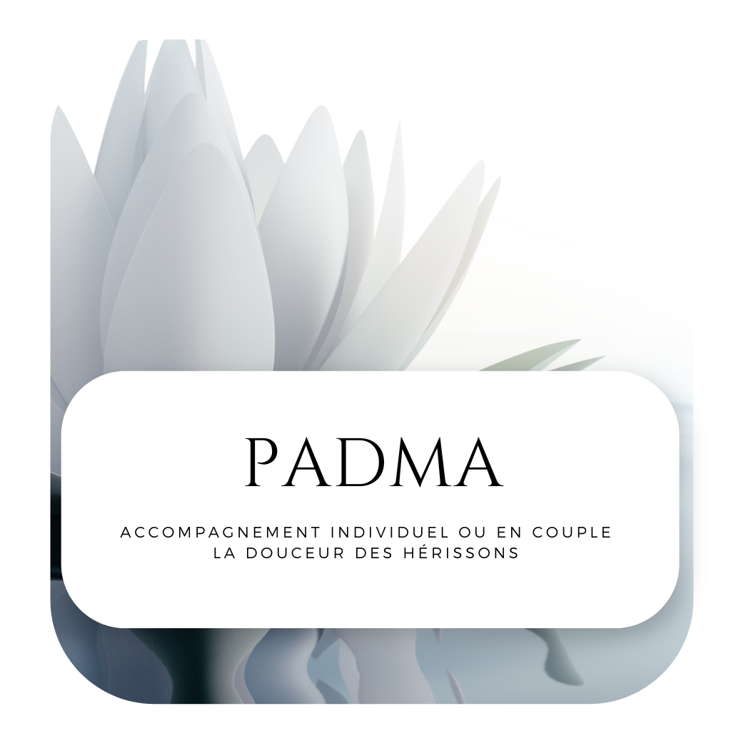 Programme Padma
