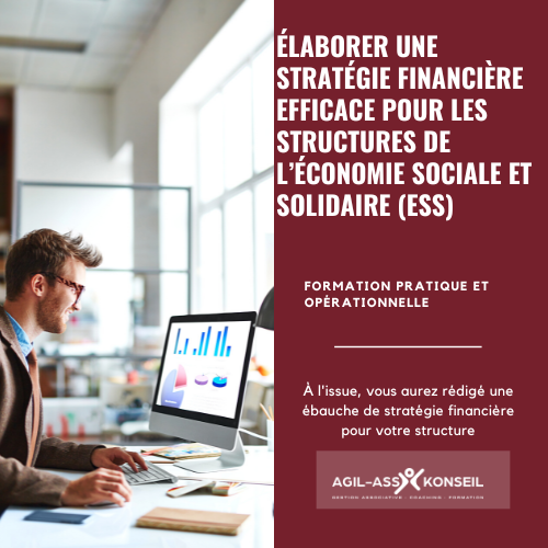 Élaborer une Stratégie Financière Efficace sa structure ESS