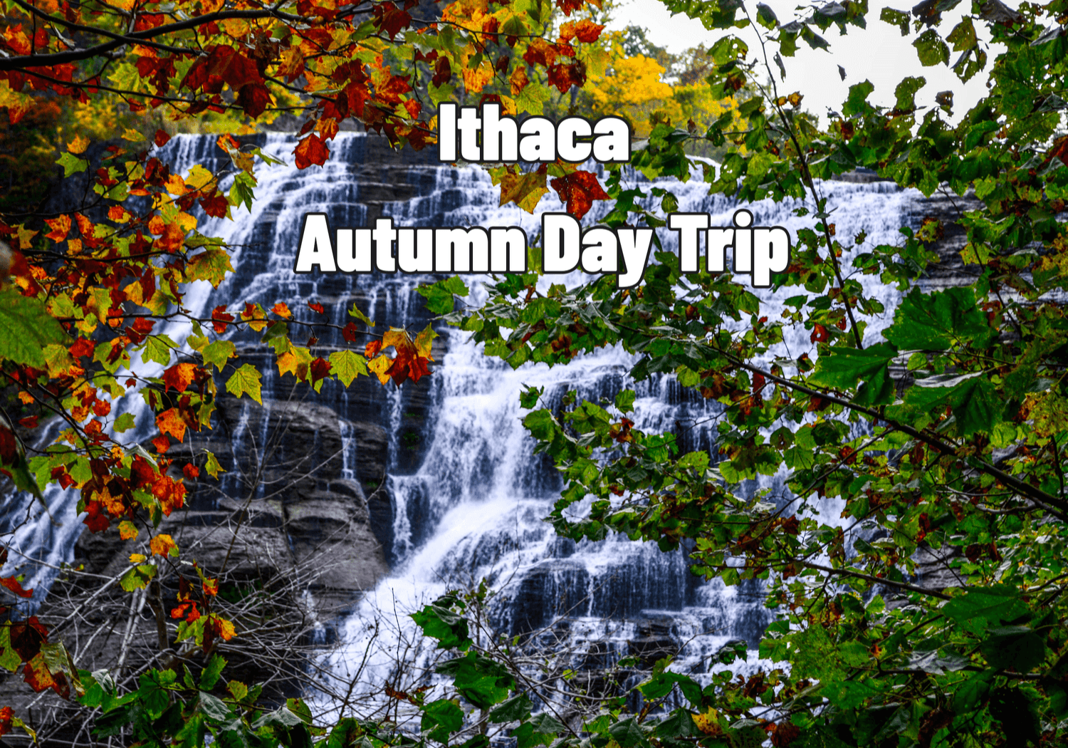 Ithaca Fall Day Trip