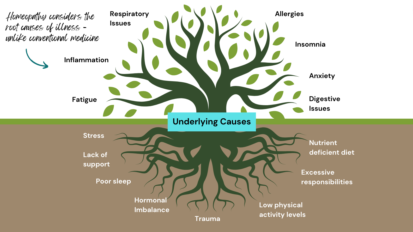 Homeopathy Courses Online