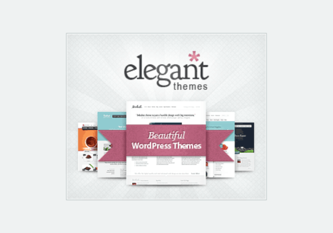 Transform Your Website with Divi Theme and Elegant Tools