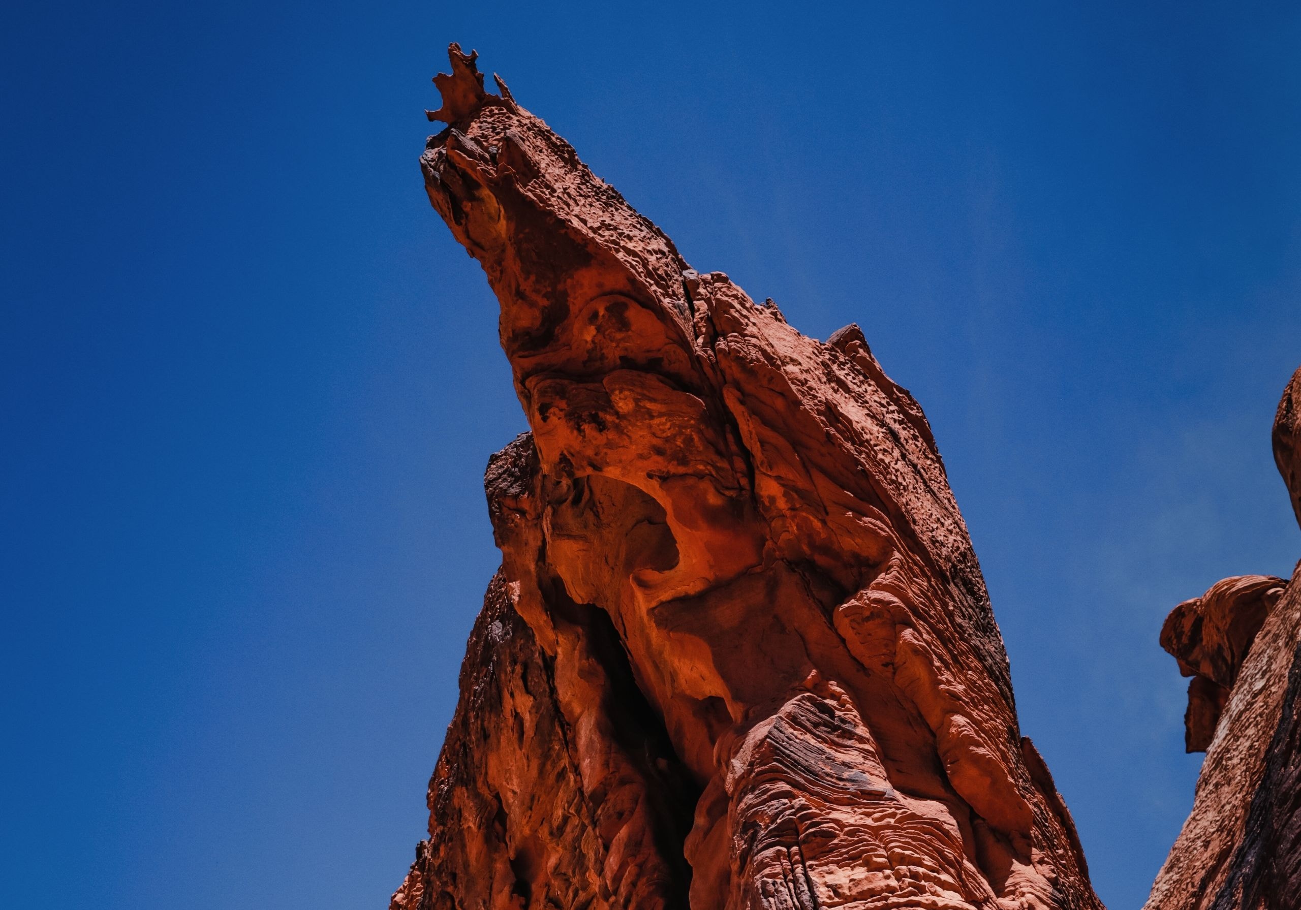 Mastering Photography Basics: A Comprehensive Guide for Beginners