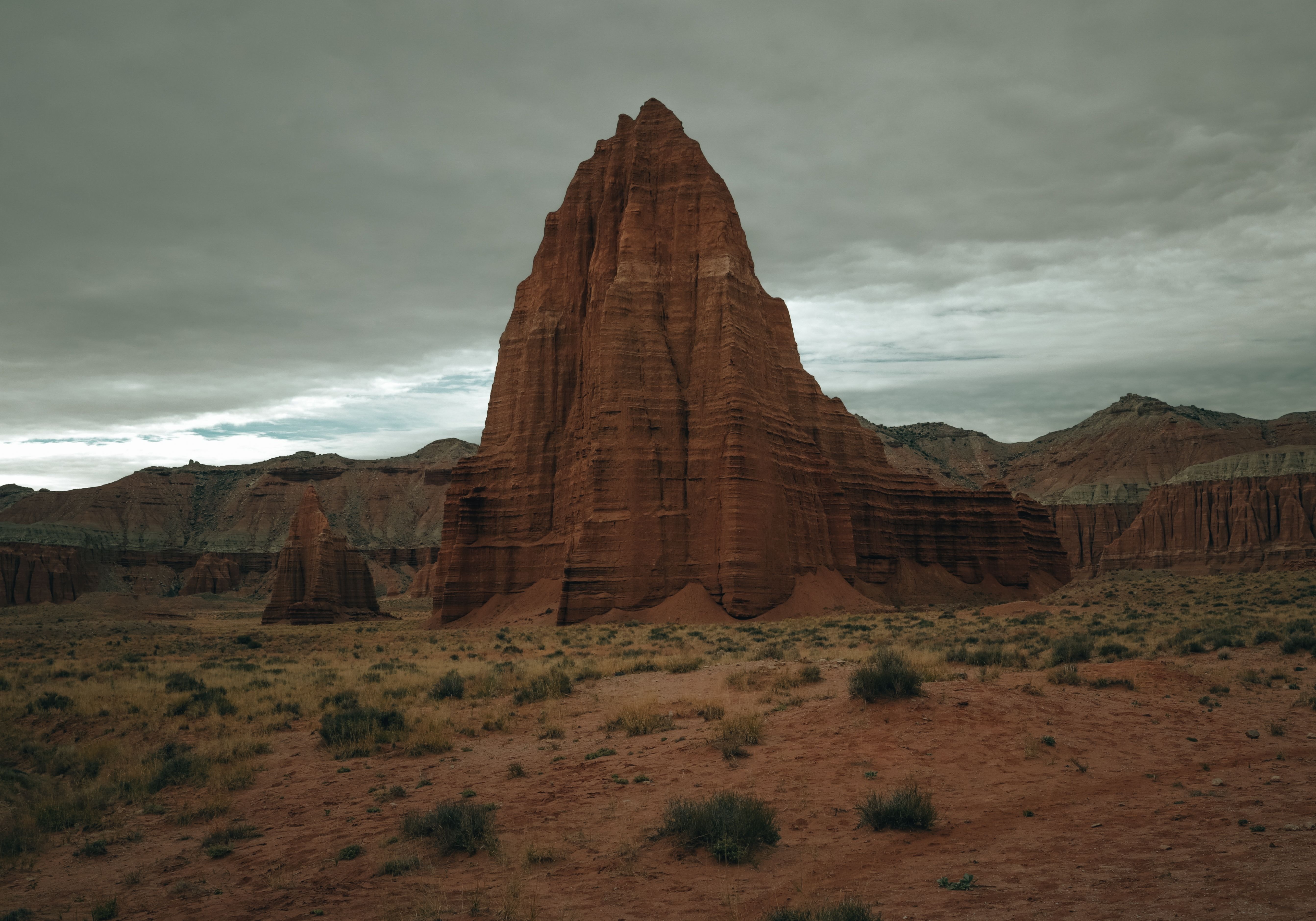 Get the Perfect Shot: Top 5 Green Cinematic Lightroom Presets You Need ...