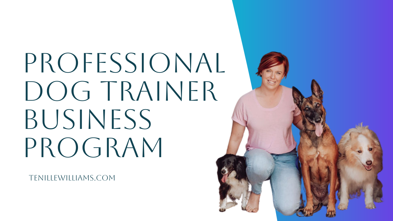 Tenille Williams Success Mentor Home Page