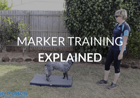 Marker Training Explained