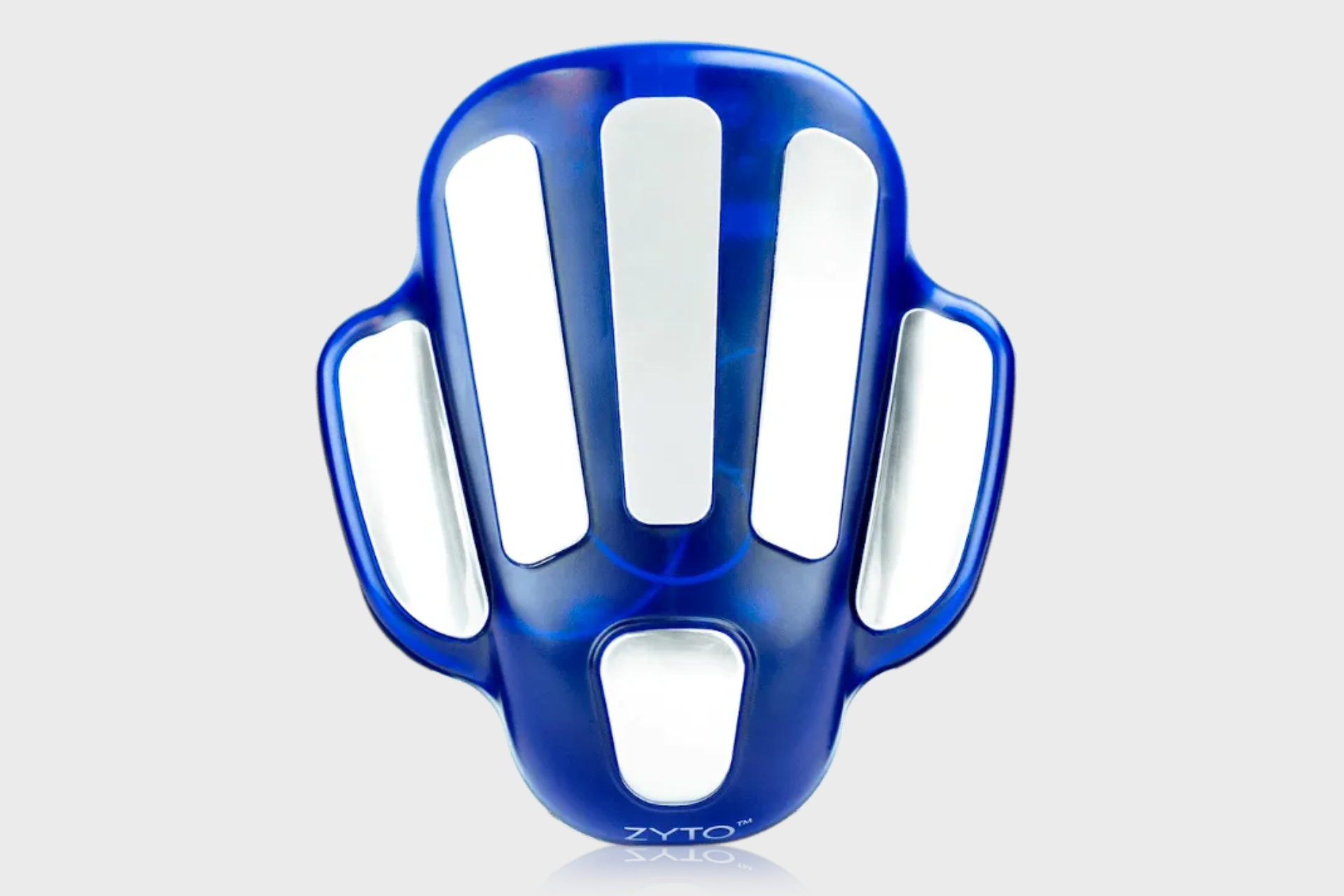 ZYTO™ scan professzionális használatához