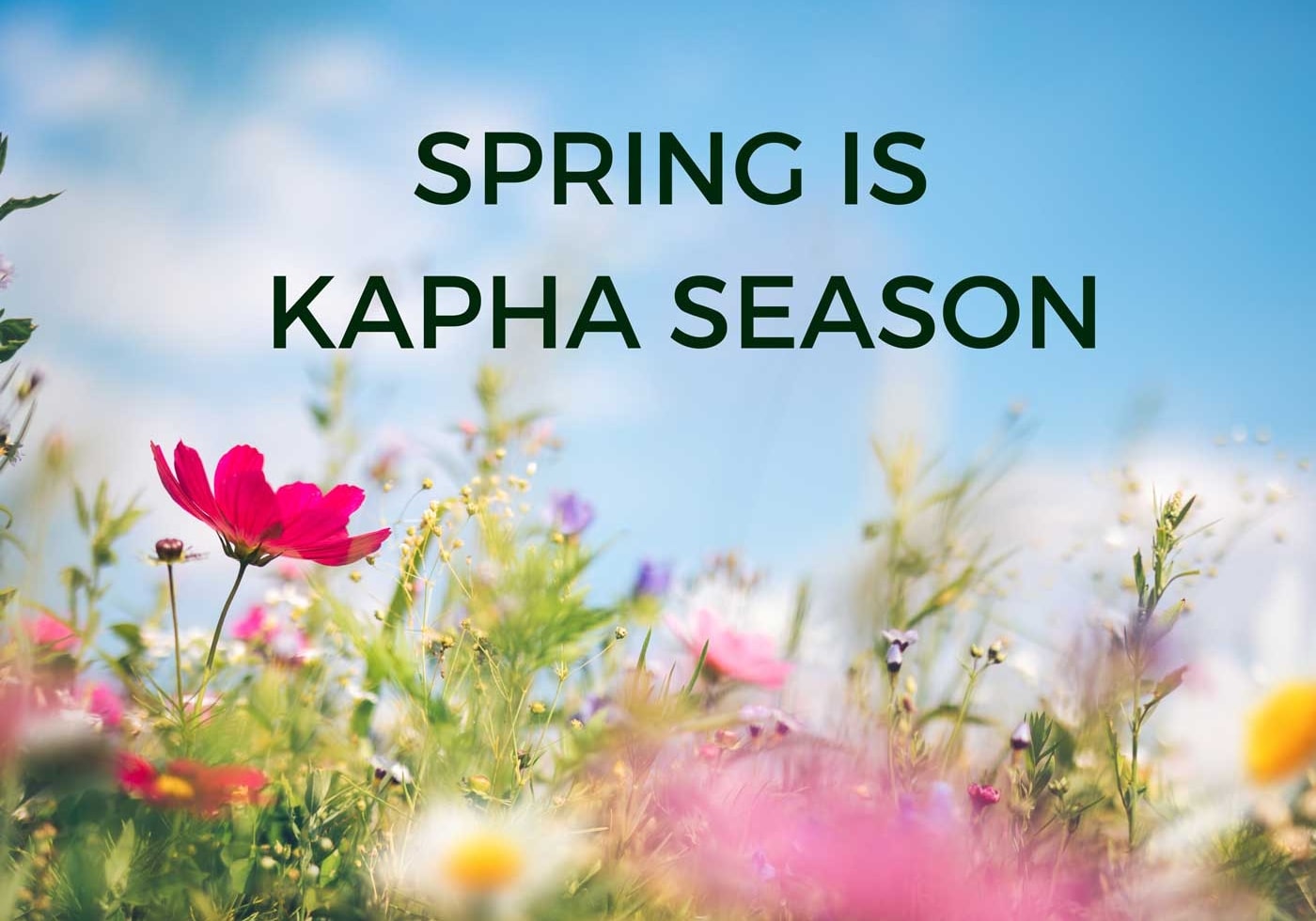 Learn How To Start SPRING IS KAPHA SEASON - Ayurveda Any Time