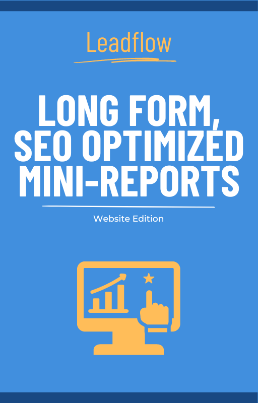 Consultant Leadflow - Website Design