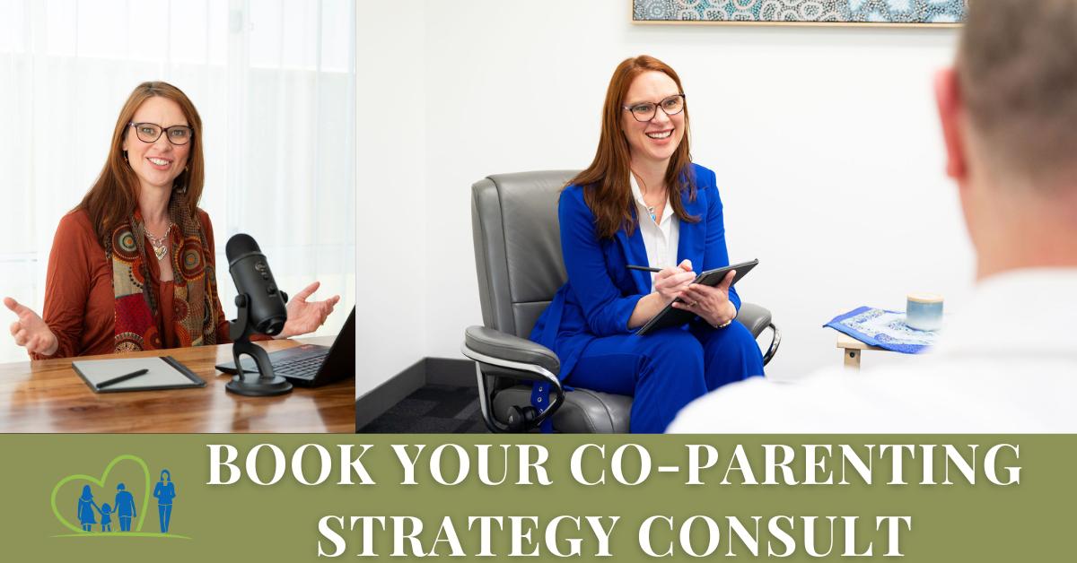 Strategy Consult | Co-Parenting Companion