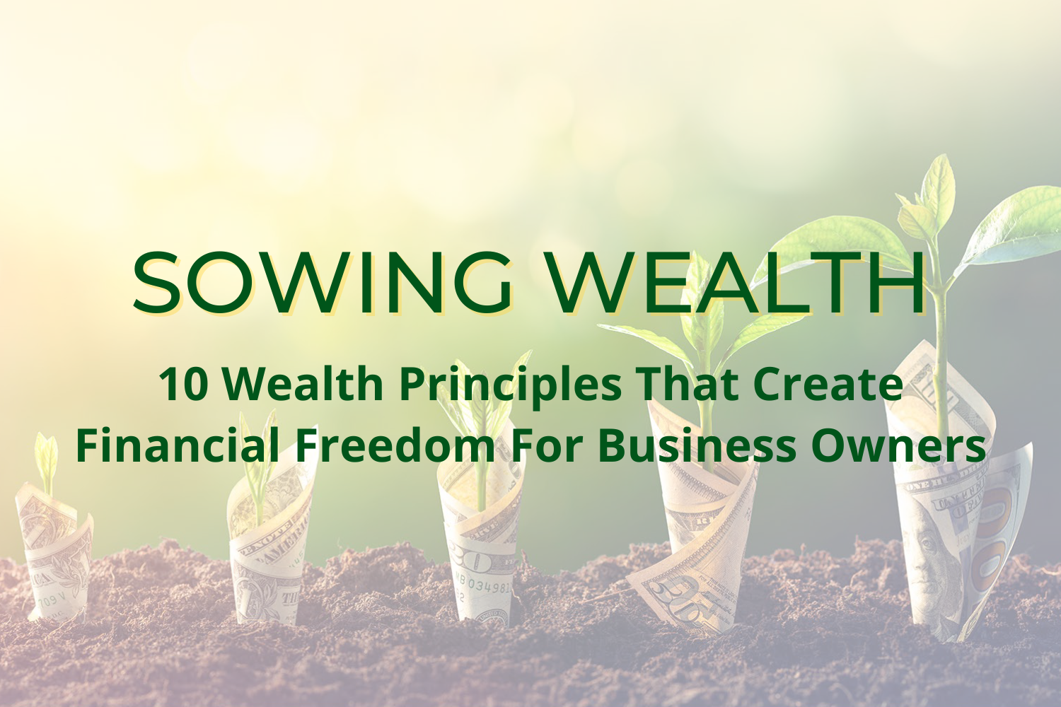 Sowing Wealth - Home Page