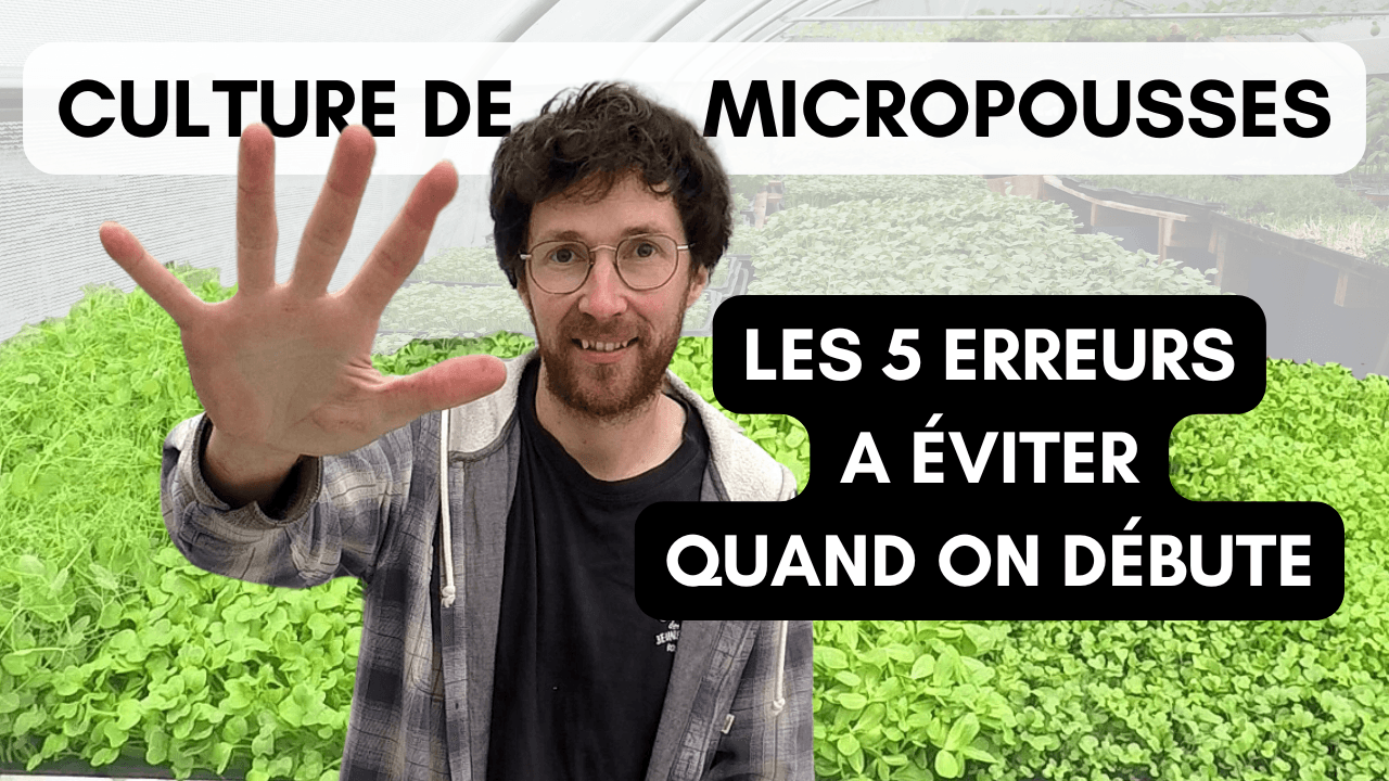 Cultiver des Micropousses : Évitez ces Erreurs Fréquentes pour Réussir ...