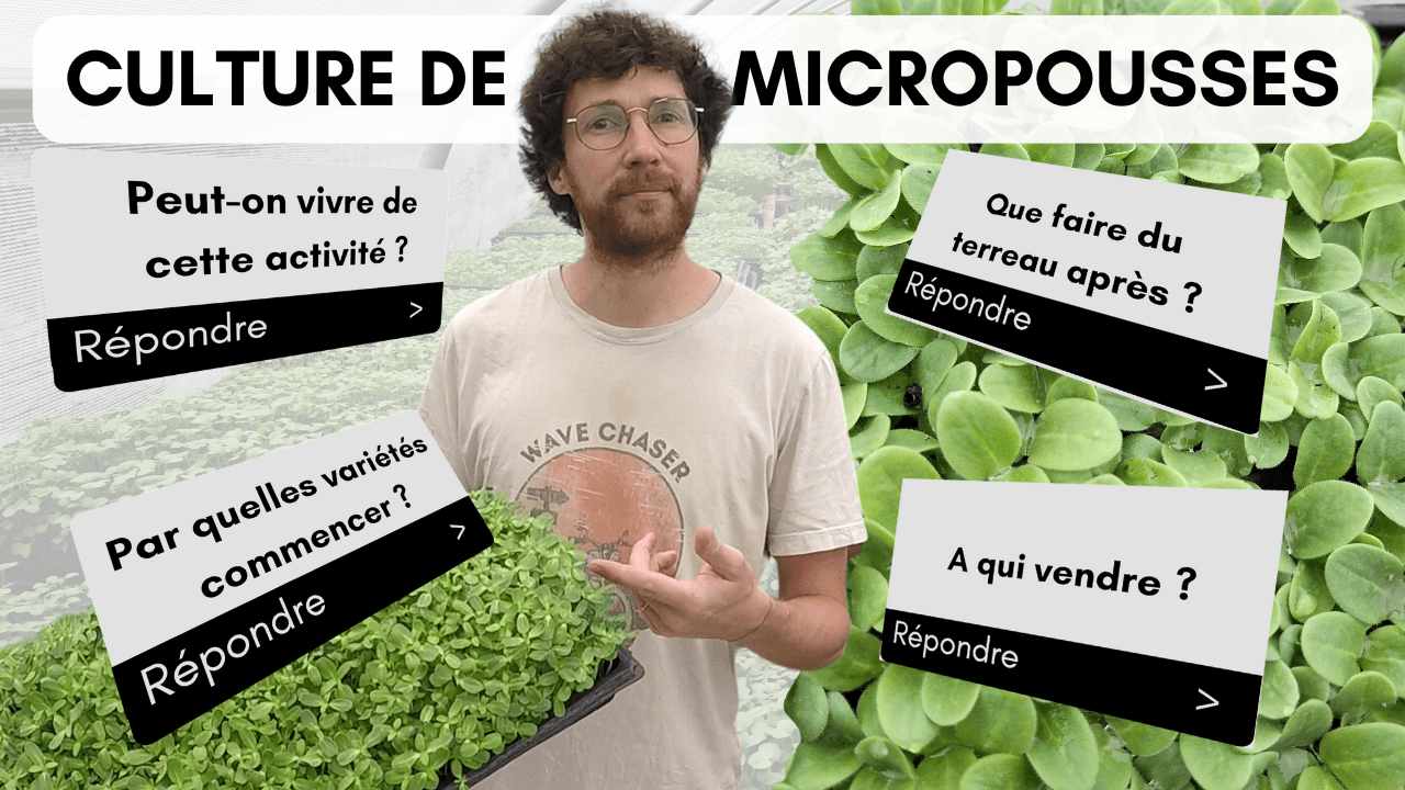 [FAQ #1] Vos questions sur la culture des micropousses