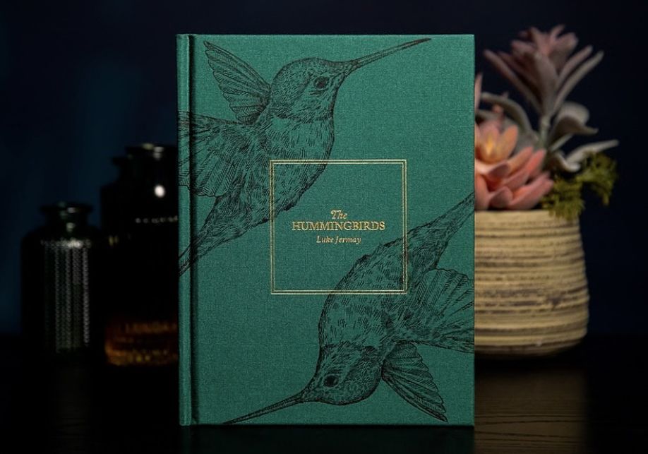 The Hummingbirds by Luke Jermay