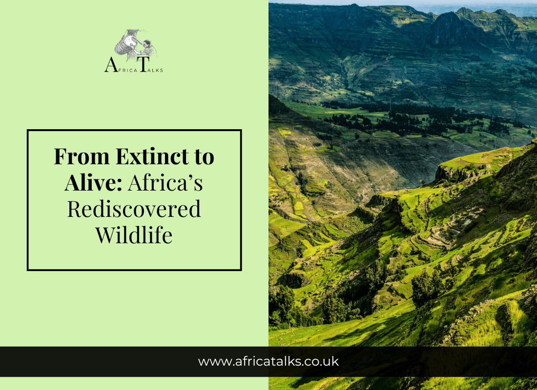 From Extinct to Alive: Africa’s Rediscovered Wildlife