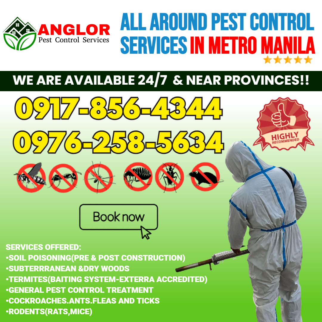 Anglor Pest Control Services | Call Us! 0917-856-4344