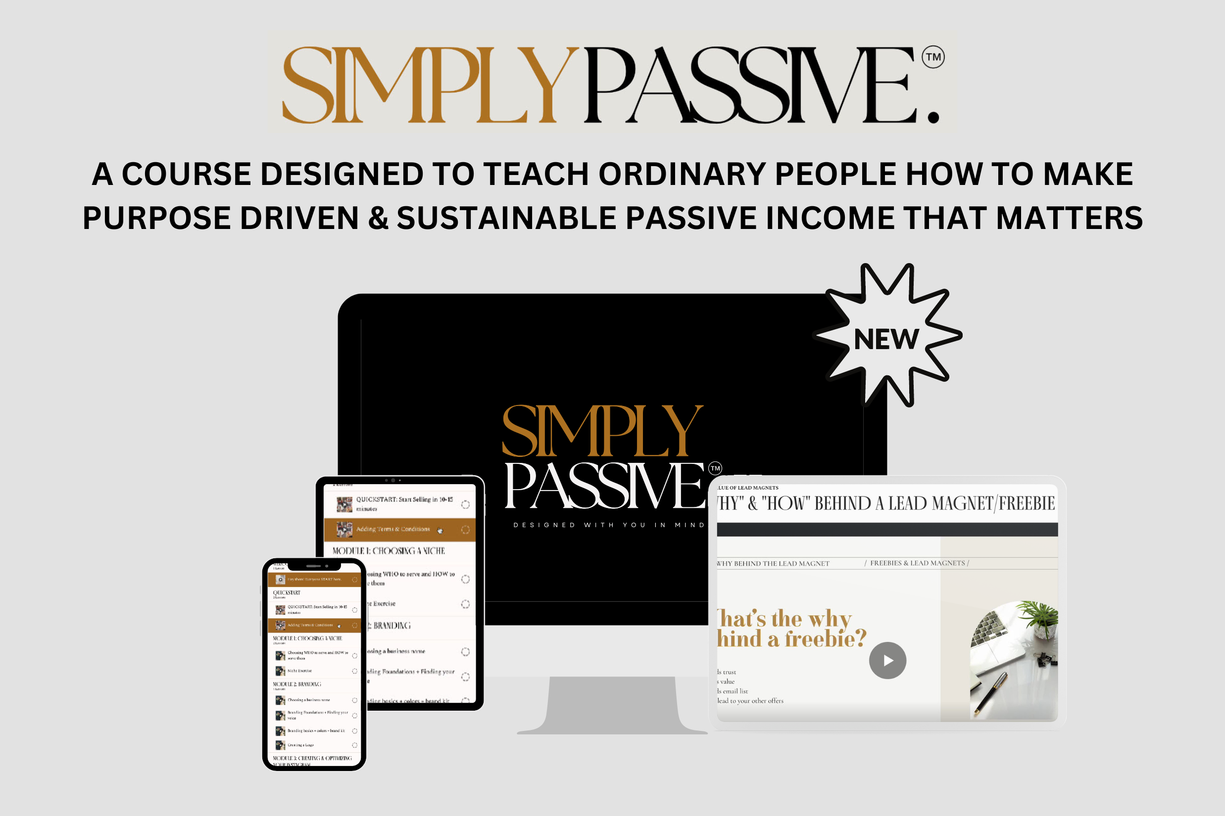 Simply Passive - Simple, Sophisticated, Strategic