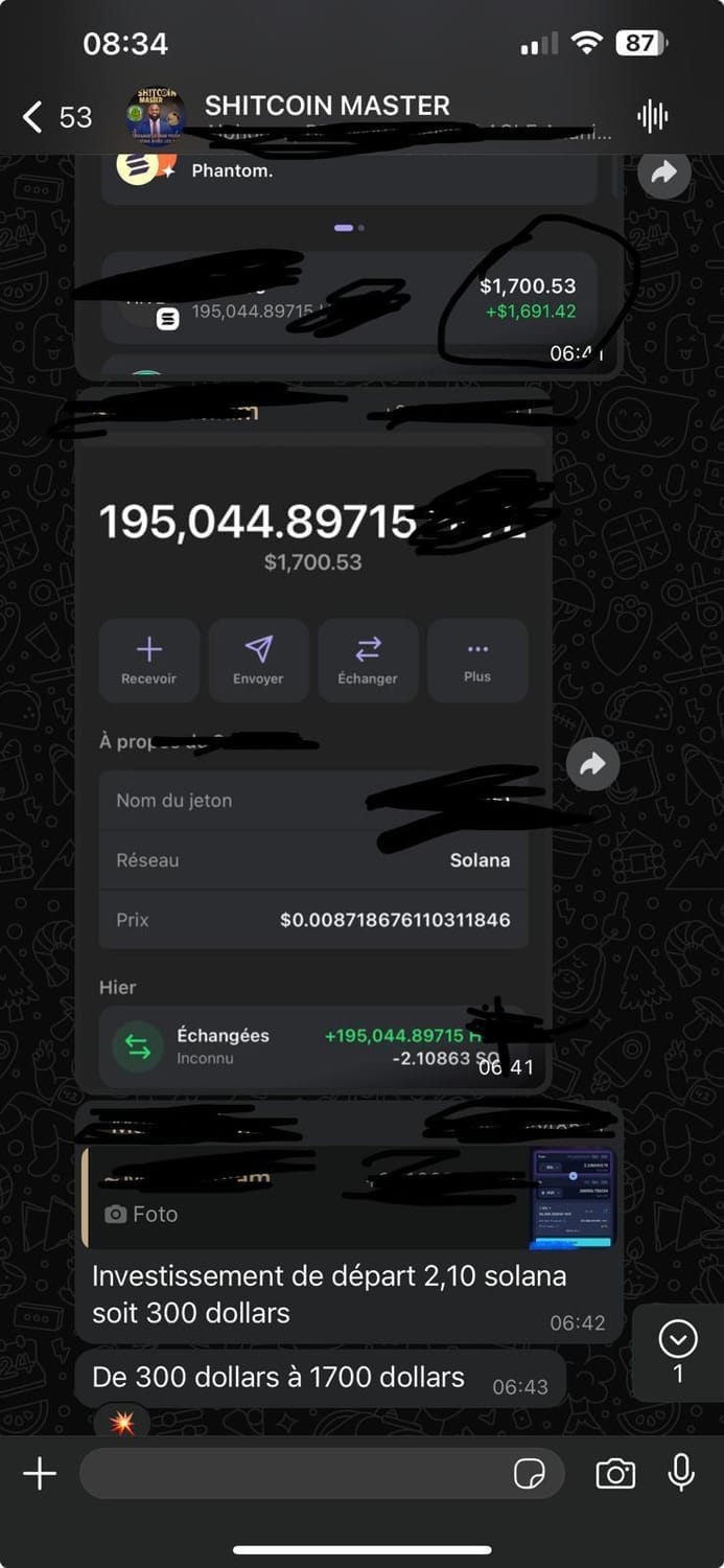 SHITCOIN MASTER : LE PROGRAMME ULTIME POUR SE FAIRE DES MILLIONS AVEC ...