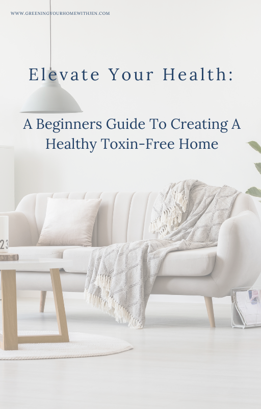 Healthy Home Beginners Guide