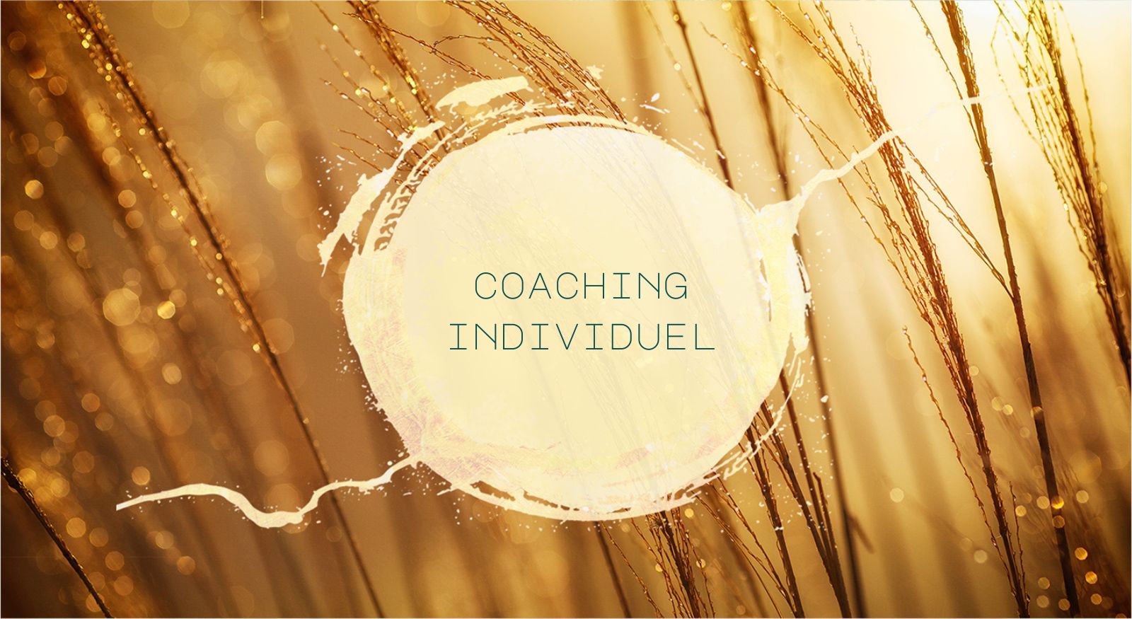 Coaching individuel - Phytoki