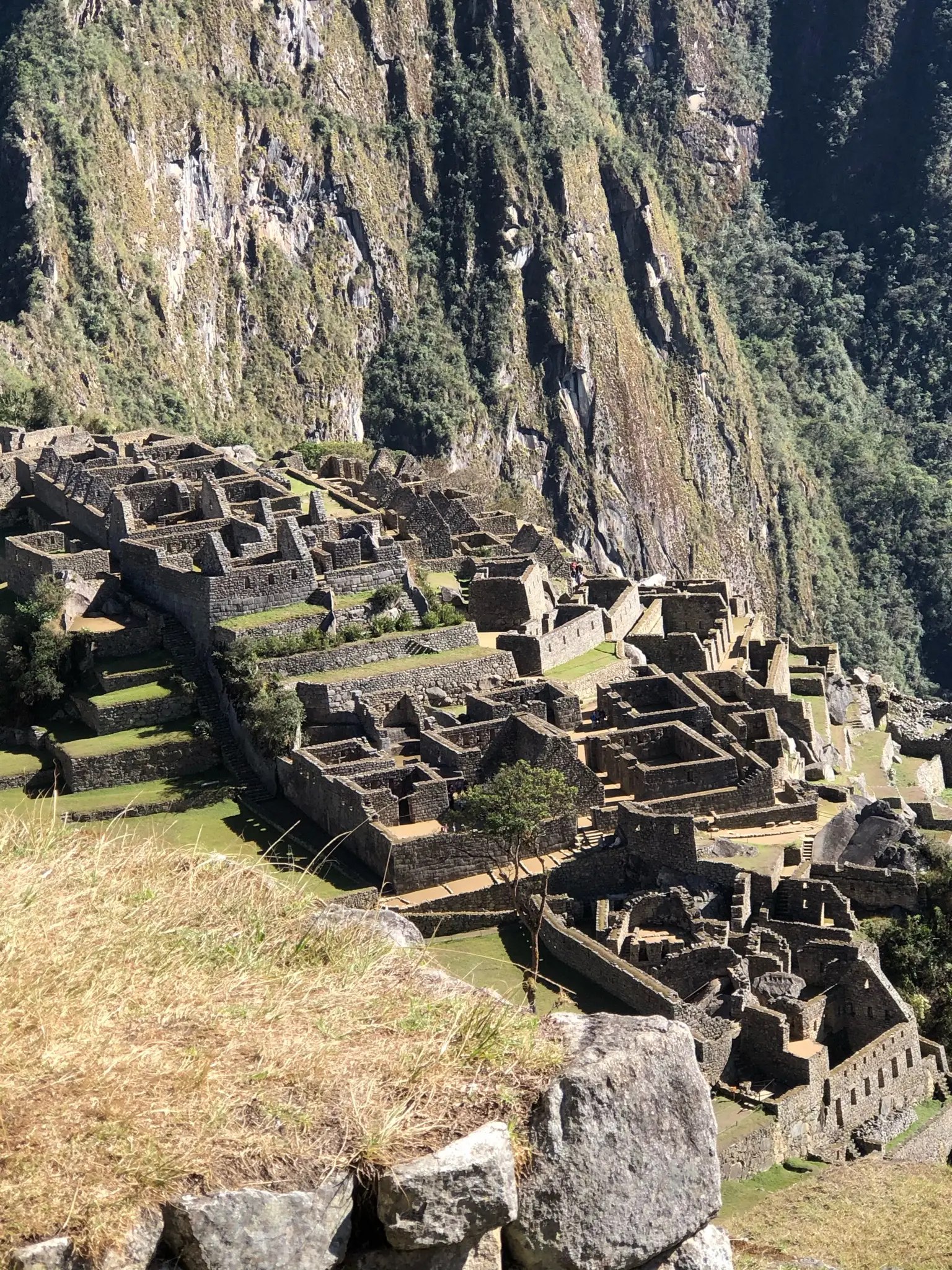 Scaling Machu Picchu: Finding Transformation In The Heights of The Andes