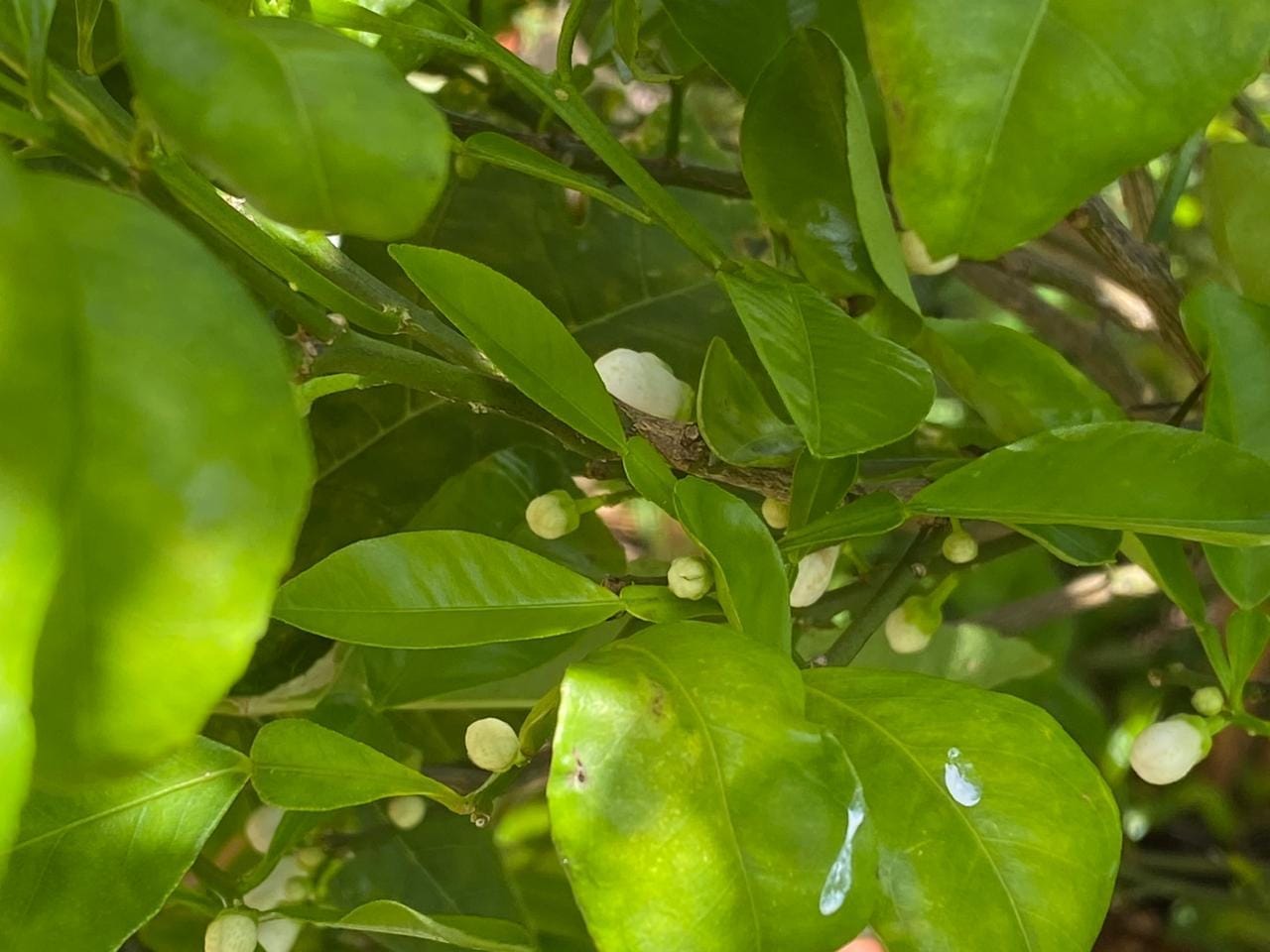 Lessons From Nature - Grow Where You Are Planted