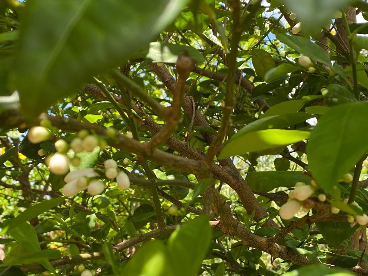 Lessons From Nature - Grow Where You Are Planted