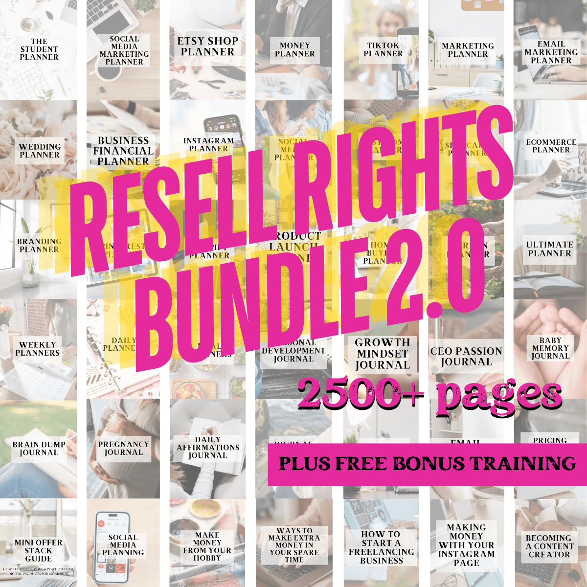 Resell Rights Bundle 2.0