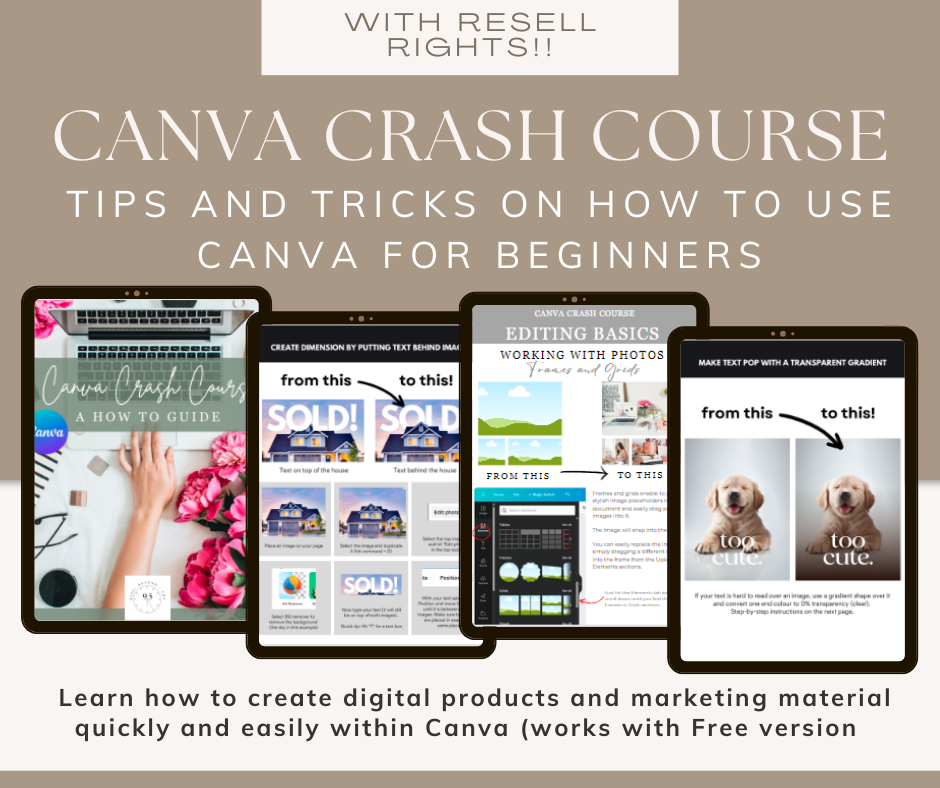 Canva Crash Course
