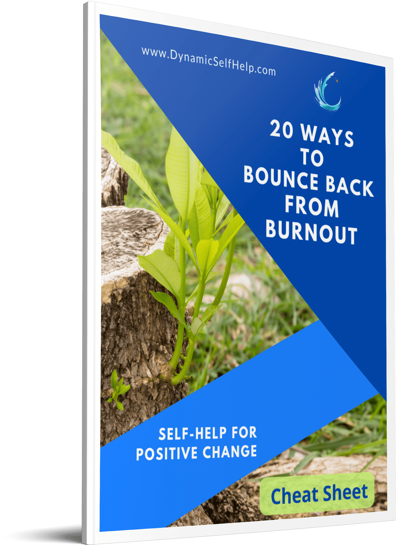 How To Bounce Back From Burnout Cheat Sheet