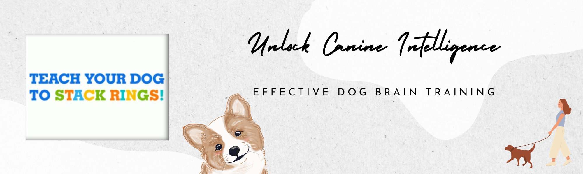 A Guide to Effective Dog Brain Training