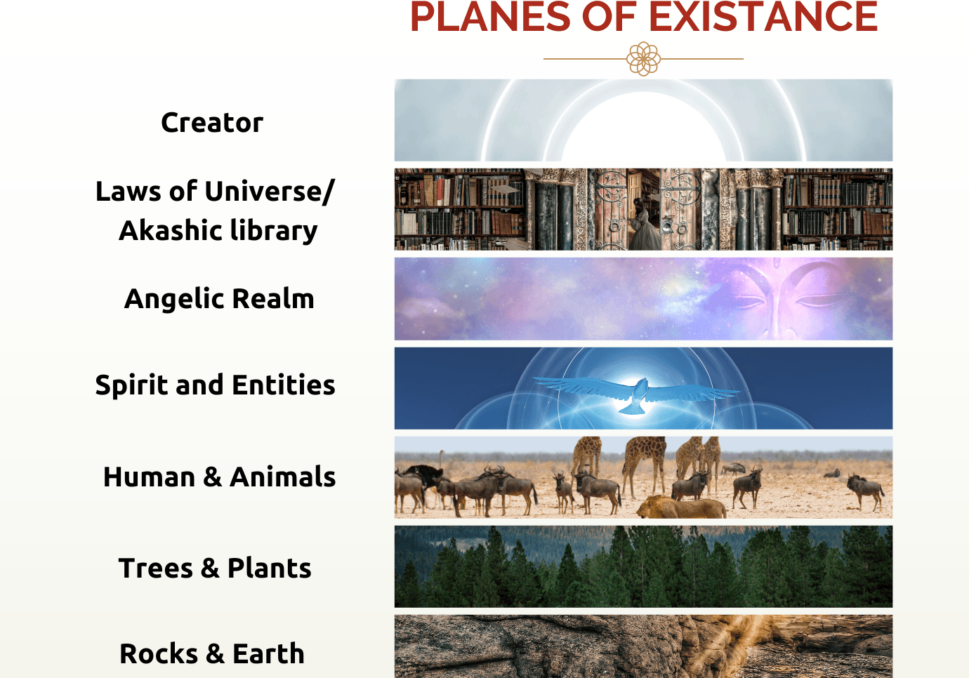 Planes of Existence