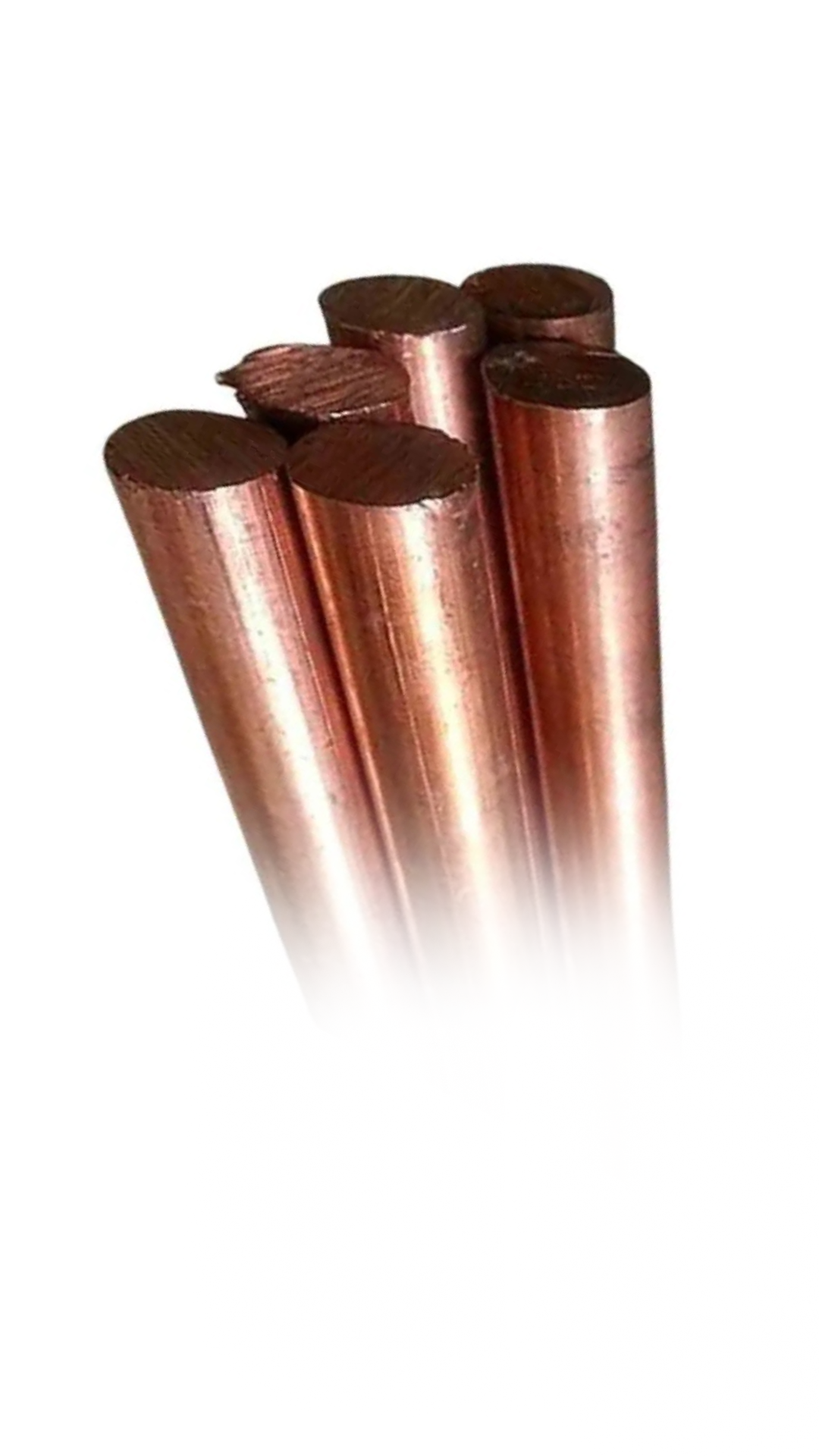 Homepage [www.chesils.com]