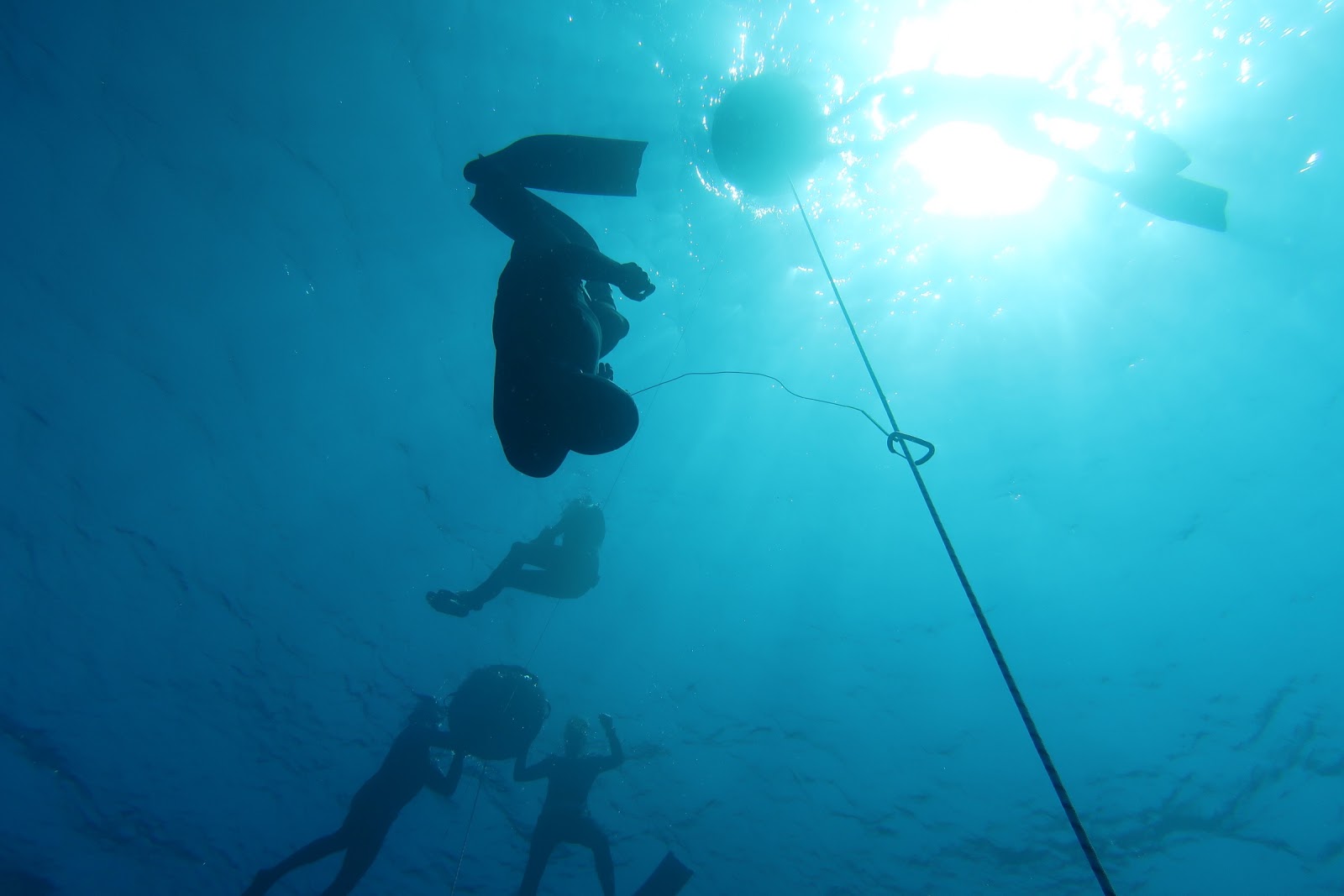 Freediving To 40 Meters: A Step-By-Step Guide To Mastering This Depth